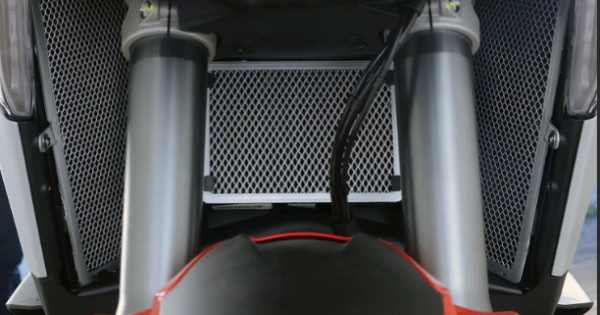 RG RACING Yağ Soğutucu Koruması (DUCATİ MULTİSTRADA V4(S) '21)